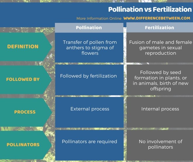 Difference Between Pollination And Fertilization Compare The