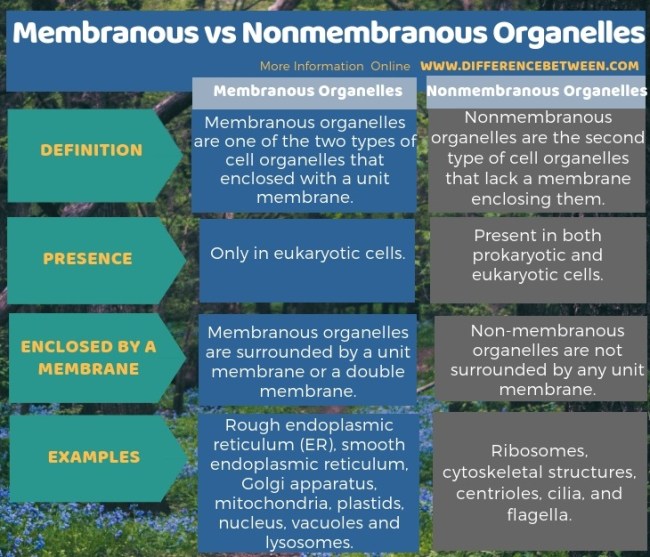 Difference Between Membranous And Nonmembranous Organelles Compare