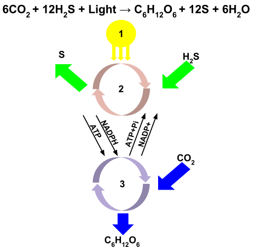 Difference Between Photochemical And Thermal Reaction Compare The