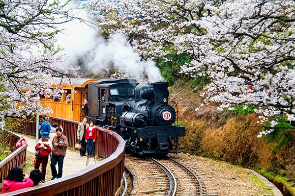 阿里山景點、交通全攻略！阿里山小火車、雲海、日出別錯過 放言fount Media