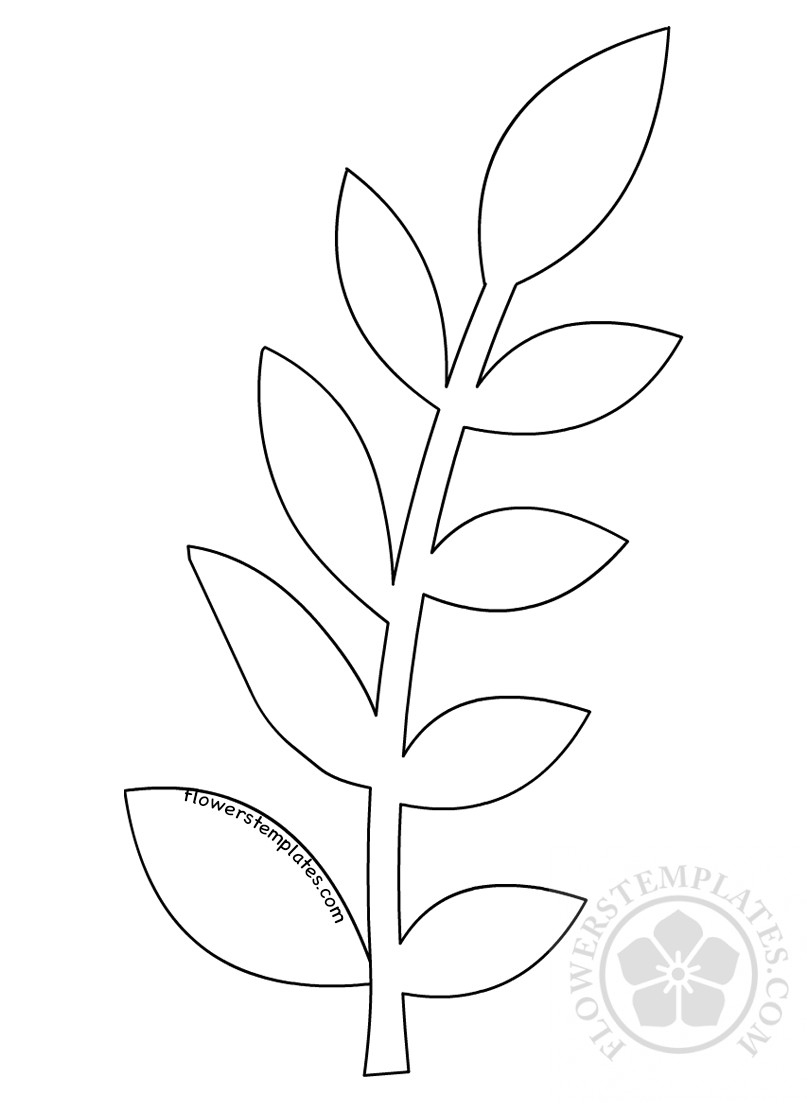 Flower Template Leaf Pattern Flowers Templates