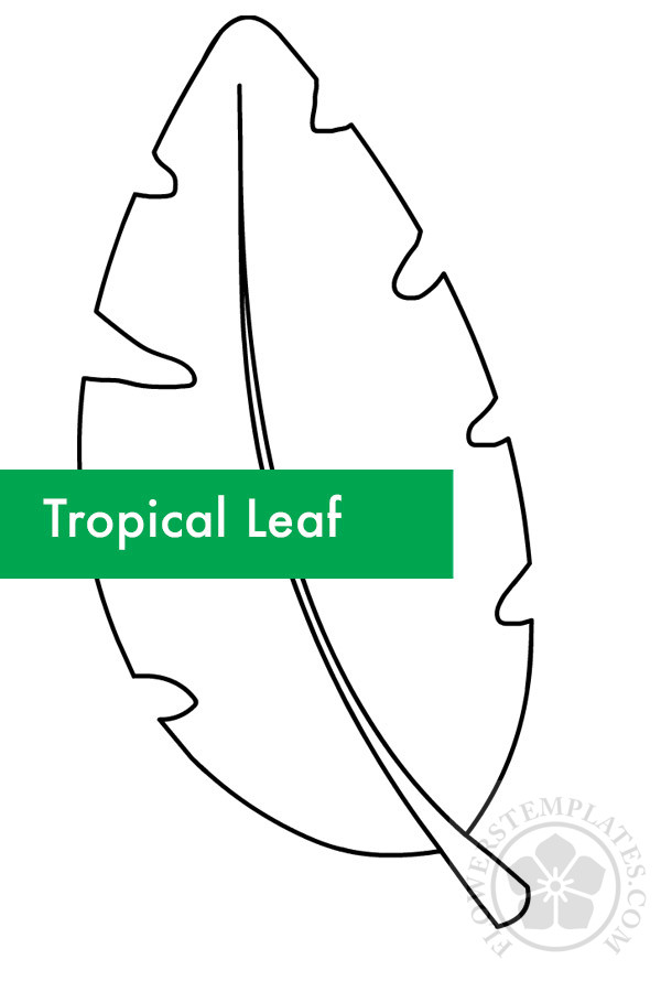 Outline Tropical Leaf Template