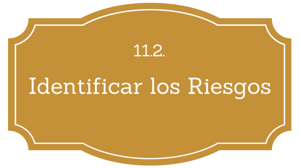 112 Identificar Los Riesgos Del Proyecto Project Management