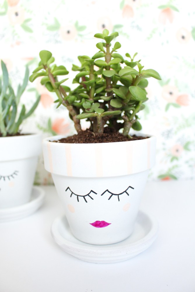 Diy Pretty Face Planters Gold Standard Workshop