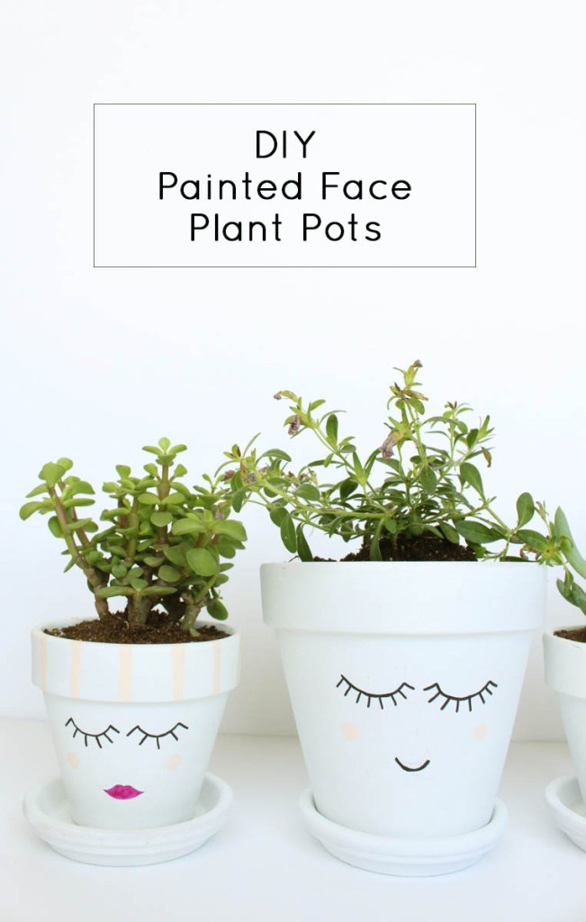 Diy Pretty Face Planters Gold Standard Workshop