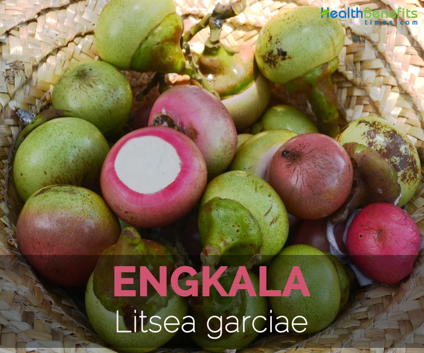 Engkala Facts Health Benefits And Nutritional Value