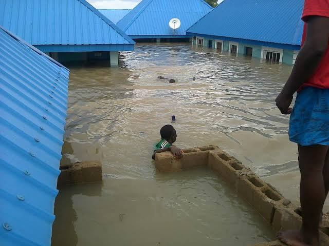 Flood Nigerian Red Cross Targets 300000 Affected Persons For Assistance ⋆