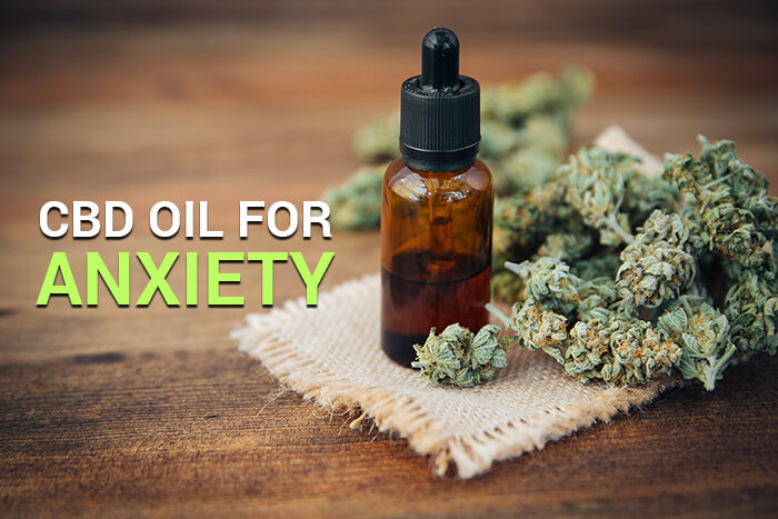 5 Best Cbd Oils For Anxiety Use Dosage And Benefits Can Cbd Oil Help