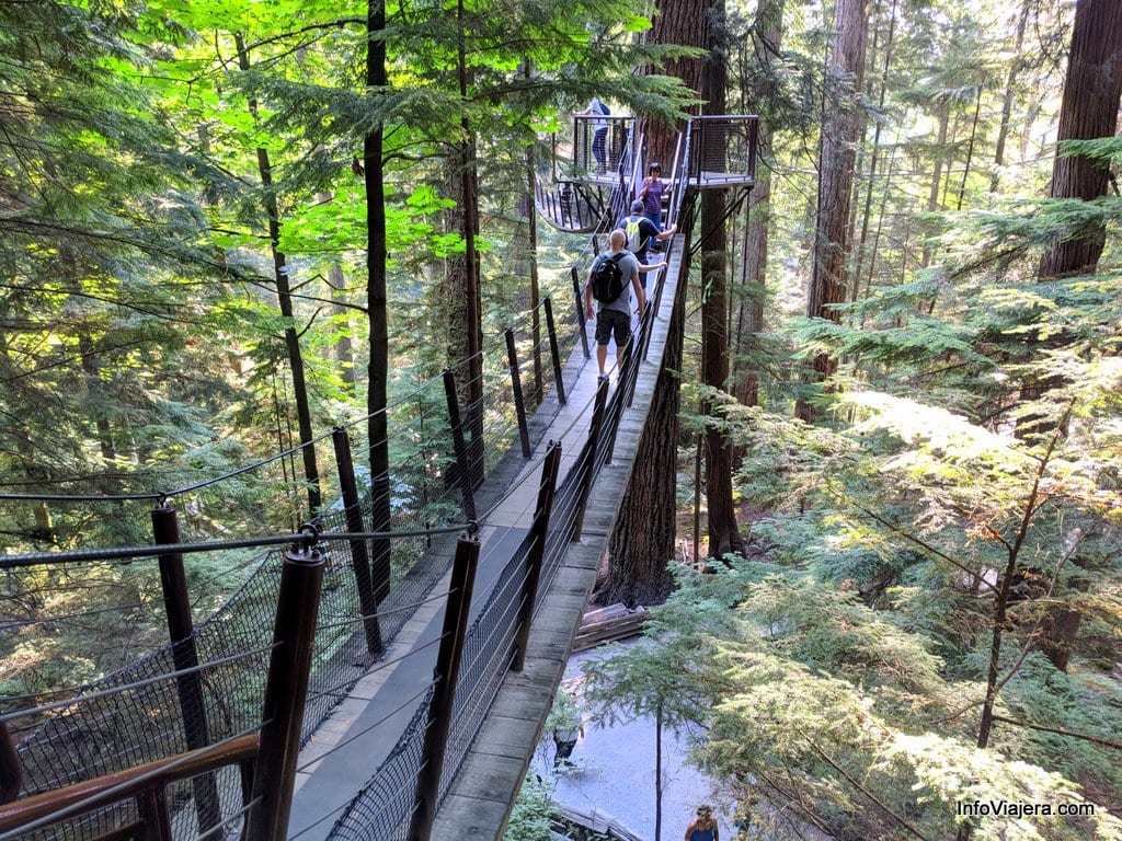 El Puente Colgante En El Parque Capilano De Vancouver Canadá Info