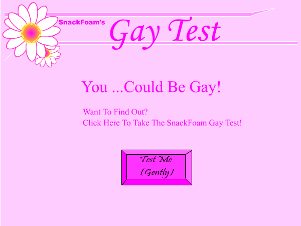 The Gay Test Infosantai