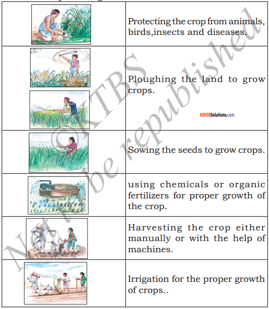 Kseeb Solutions For Class 5 Evs Chapter 8 Agriculture Kseeb Solutions