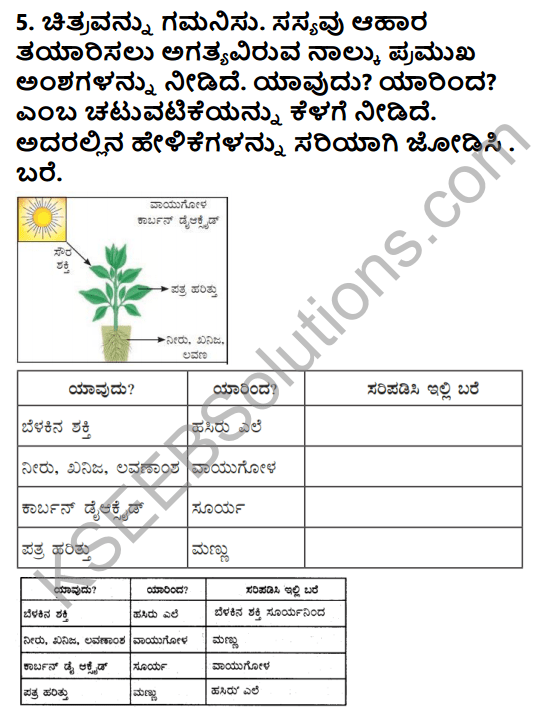 Kseeb Solutions For Class 5 Evs Chapter 1 Living World In Kannada