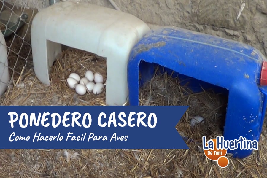 Como Hacer Ponedero O Nido Casero Para Gallinas O Aves La Huertina De