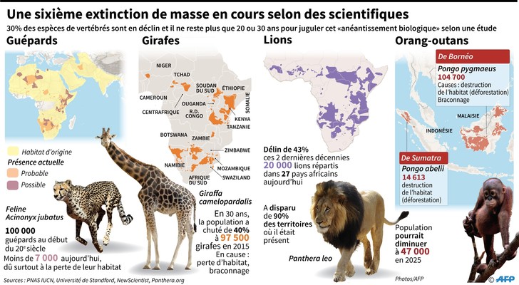 La 6eme Extinction Saccélère Dangereusement Depuis 40 Ans Terra Projects