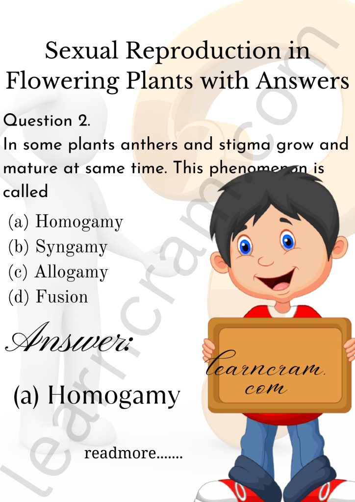 Mcq Questions For Class 12 Biology Chapter 2 Sexual Reproduction In