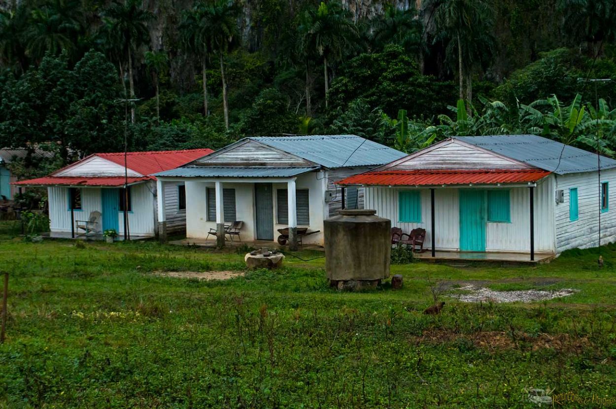 Cuba Así Es Pinar Del Río La Belleza Natural De La Isla Renunciamos