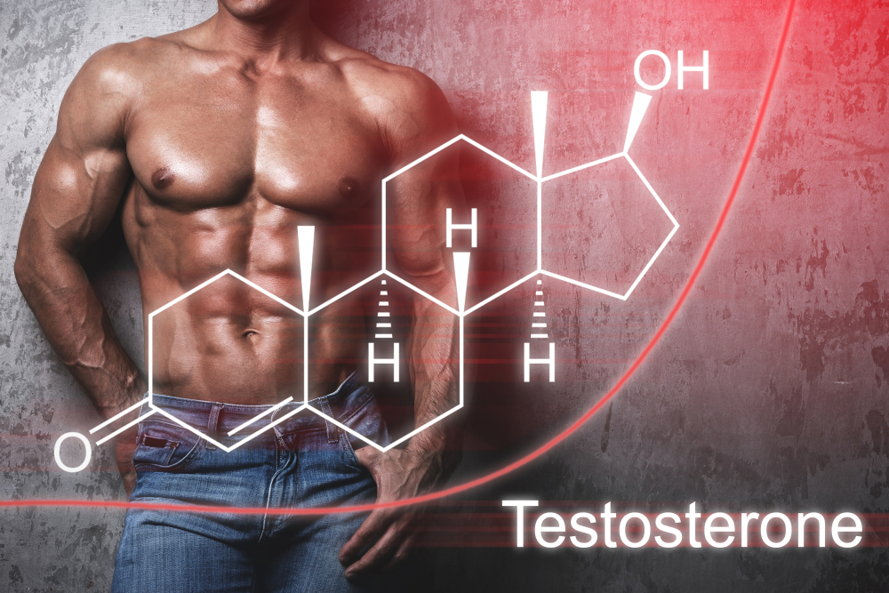 How To Increase Testosterone Naturally