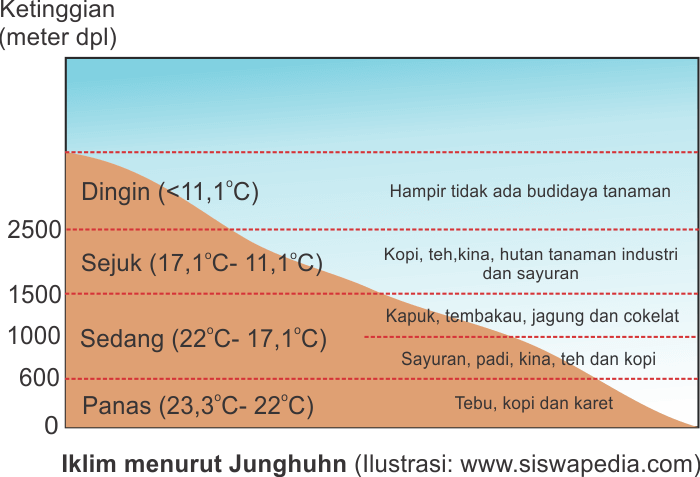 3 Jenis Iklim Di Indonesia Studyhelp