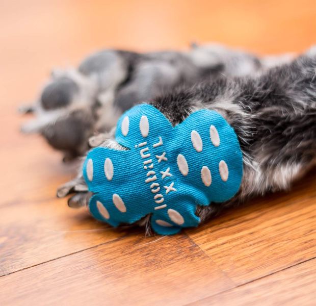 Dog Paw Protector Pads The Smart Dog Guide