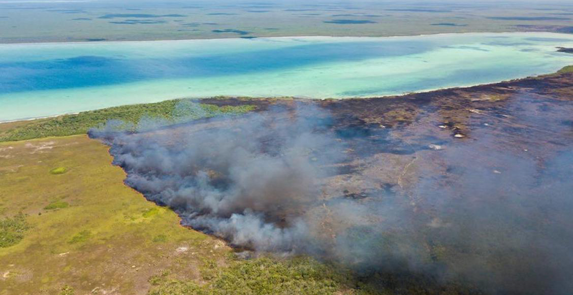 Lo Que Debes Saber Del Incendio En La Reserva De La Biosfera Sian Kaan