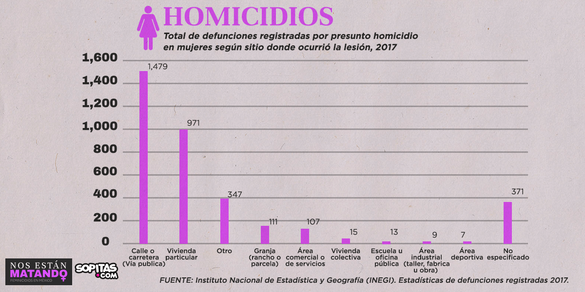 Feminicidios En Mexico 2019 Horedsspanish