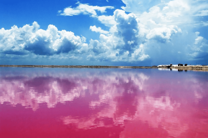 ¿sabían Que Hay Un Lago Rosa En México Chequen Estas Increíbles Fotos