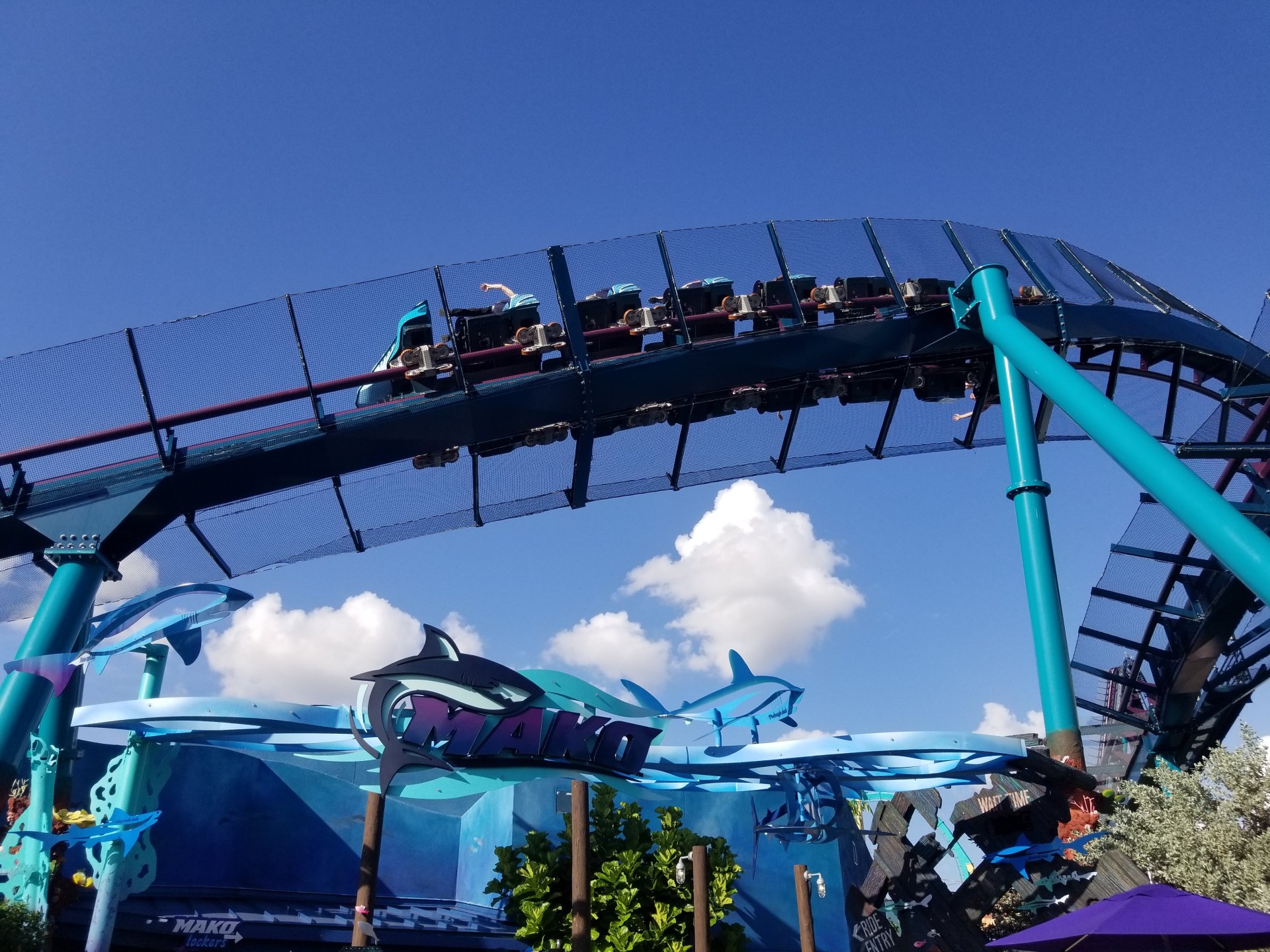 Mako At Seaworld Ride Review The Orlando Duo