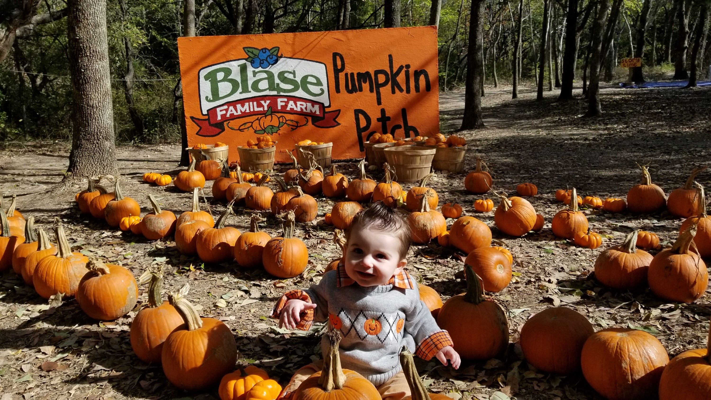 The Best Pumpkin Patches In Dallas Fort Worth