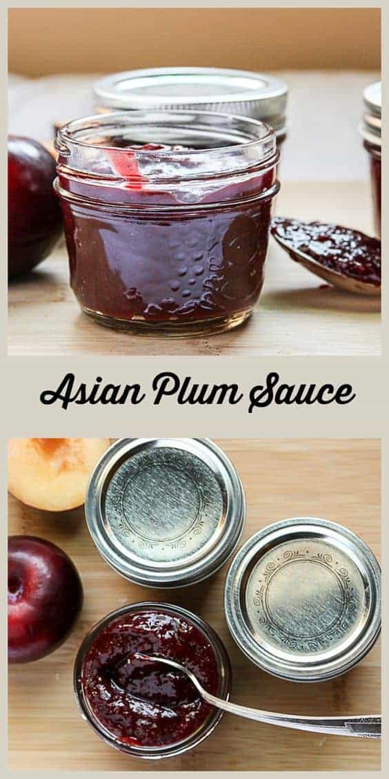 Asian Plum Sauce Plum Sauce Recipe The Food Blog