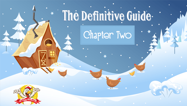 Chapter Two How To Keep Chickens Laying Eggs During Winter The Happy