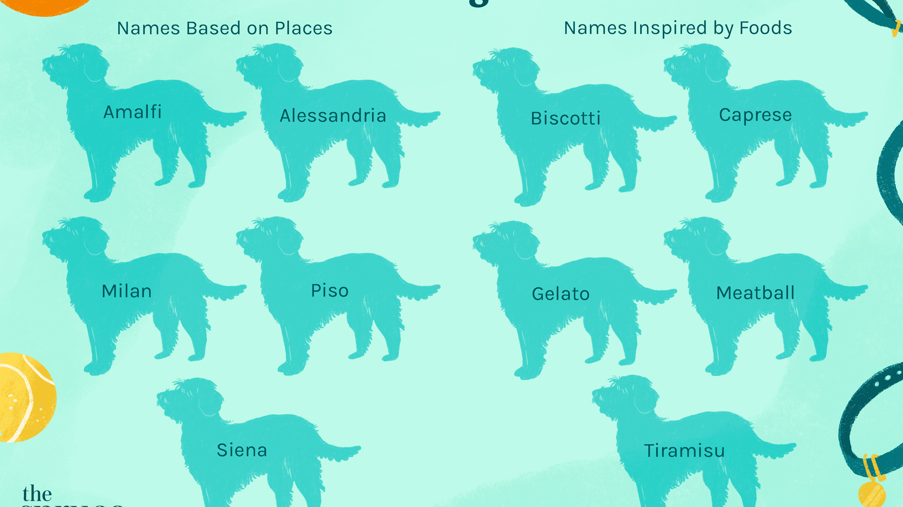 List Of Female Dogs Names