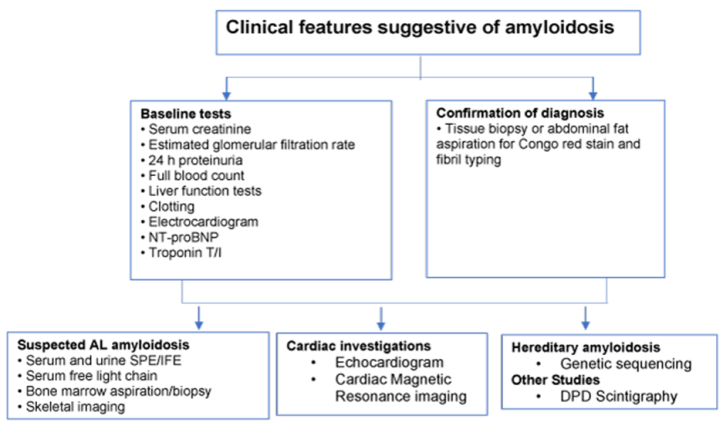 Cardiac Amyloidosis Chief Medical Resident Blog