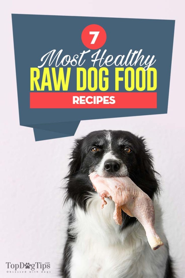 7 Best Raw Dog Food Recipes For Beginners And How To Feed Raw Diet