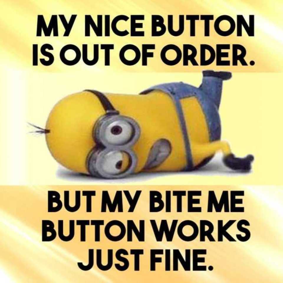 19 Funny Minion Quotes