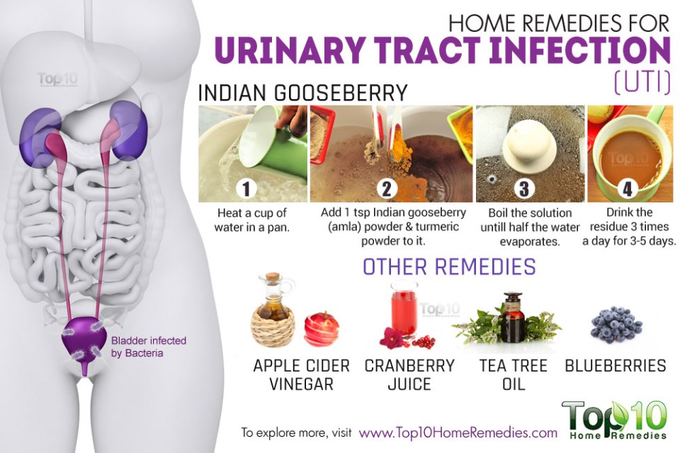 Urinary Tract Infections Are Nothing To Ignore Or It May Affect Your