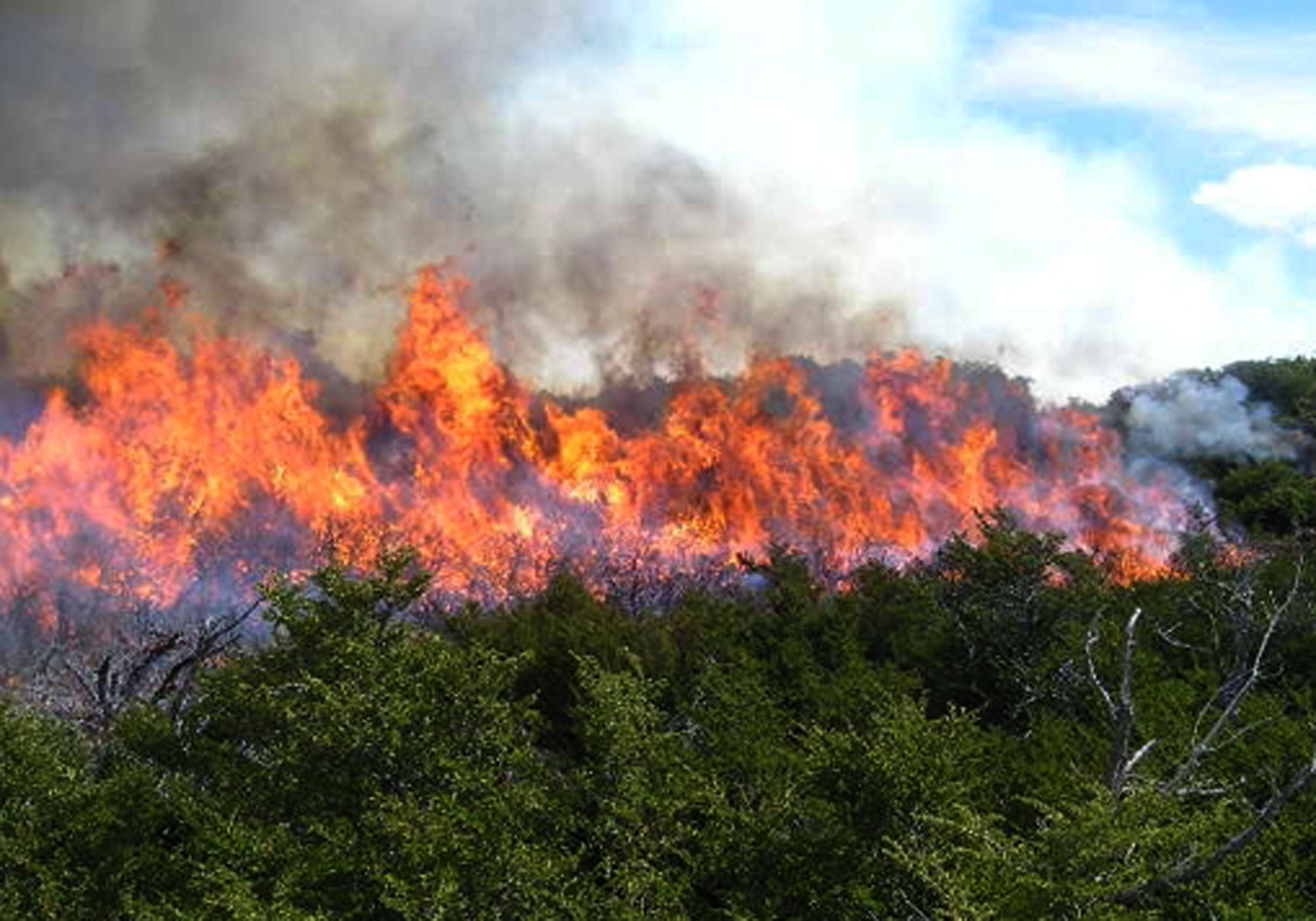 Se Han Registrado 1622 Incendios Forestales En Lo Que Va De 2017 En