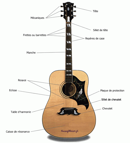 Anatomie De La Guitare Youssefmanarfr