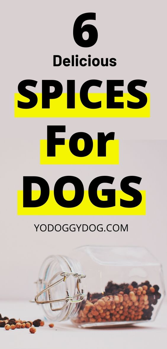 Spices Dogs Can Eat Yocanine