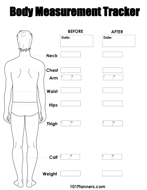 Free Body Measurement Chart Printable Or Online