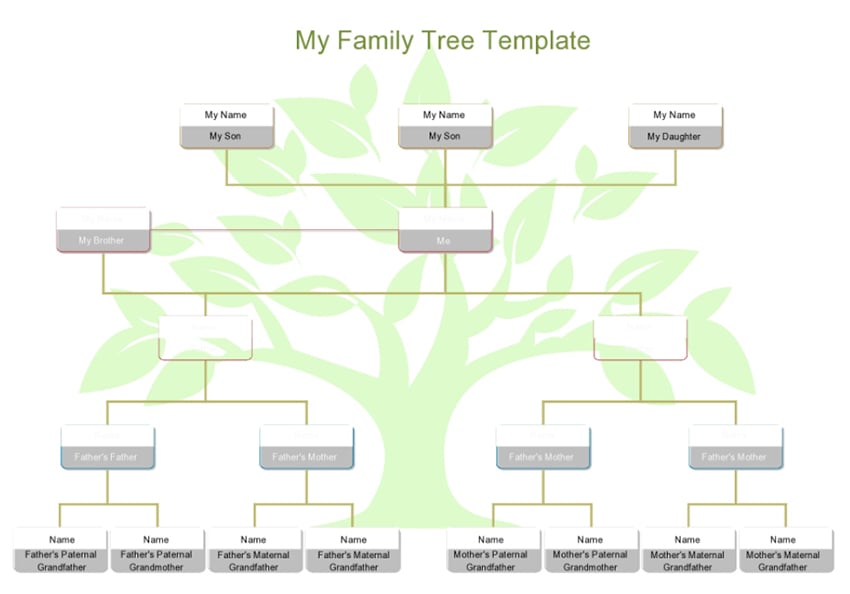 Plantillas De Árbol Genealógico Para Word Unn Bd