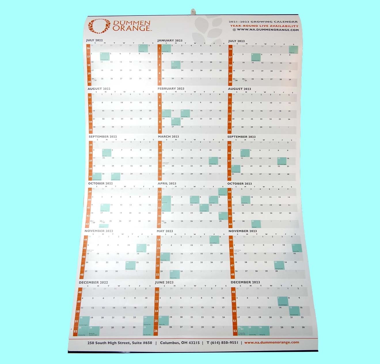 2023 Strip Calendar Printable Printable Word Searches