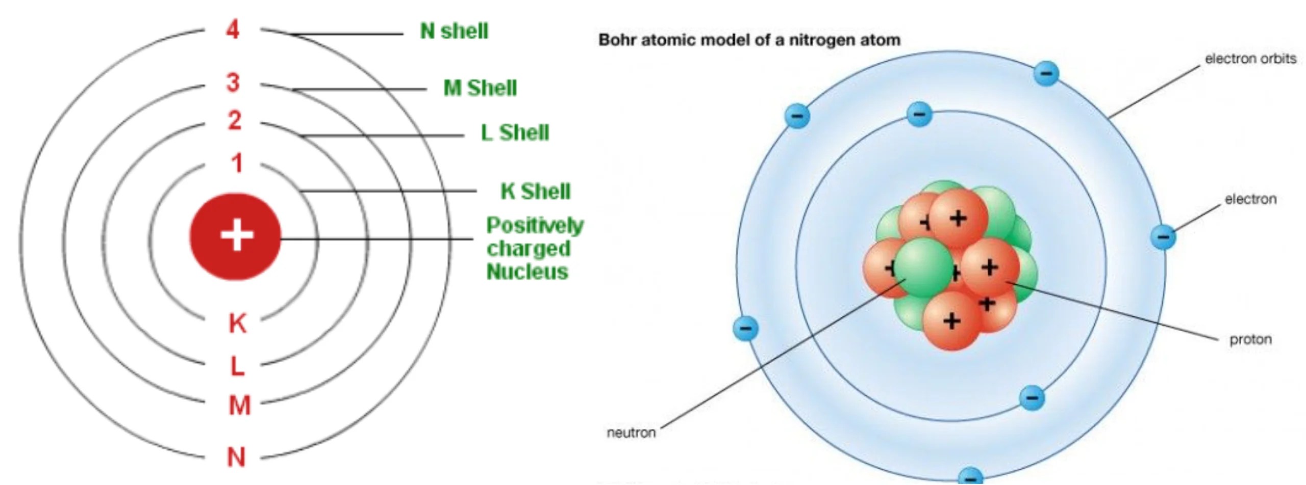 In Niels Bohrs Model Of The Atom How Are Electrons Configured