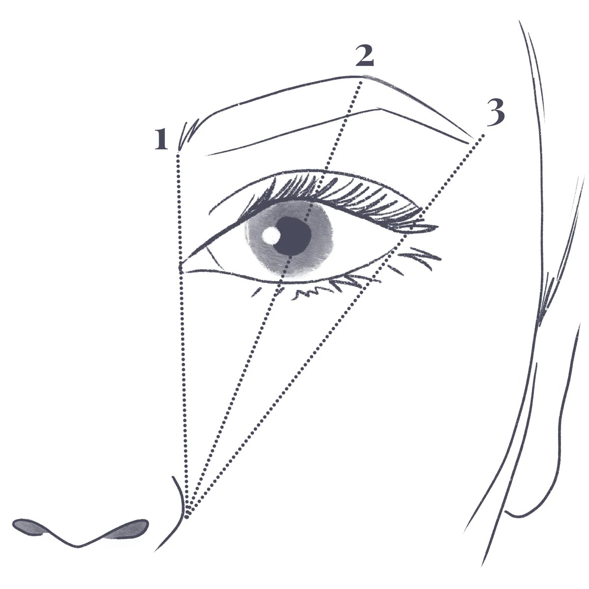 Eyebrow Mapping Diagram Golace