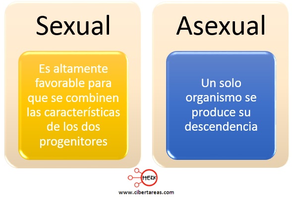 Reproduccion Asexual Y Sus Tipos