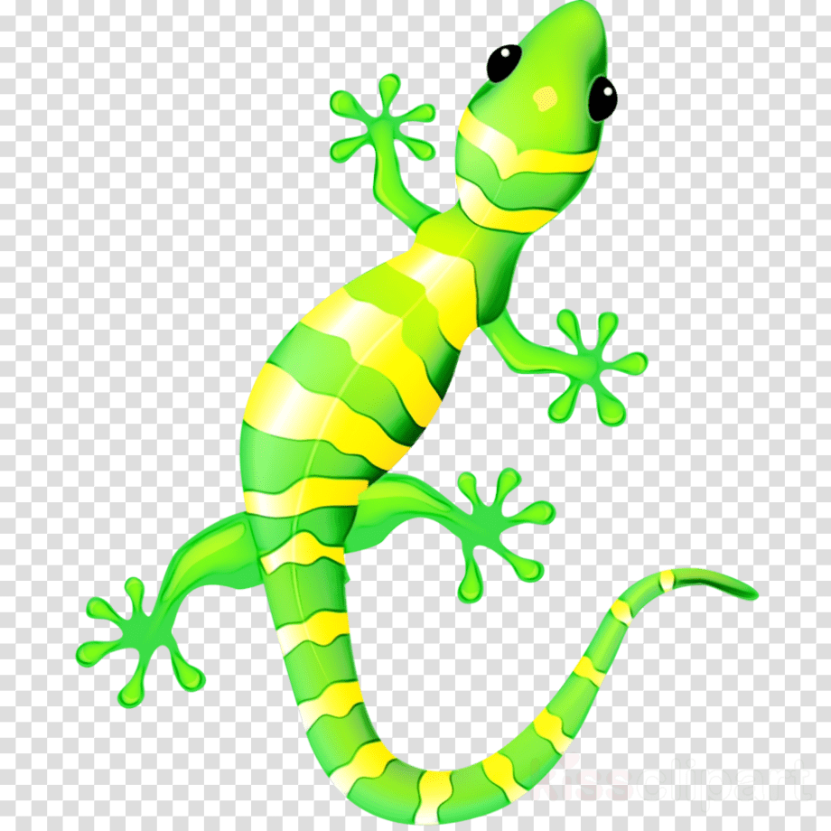 The Best Lizard Animated Png Ideas