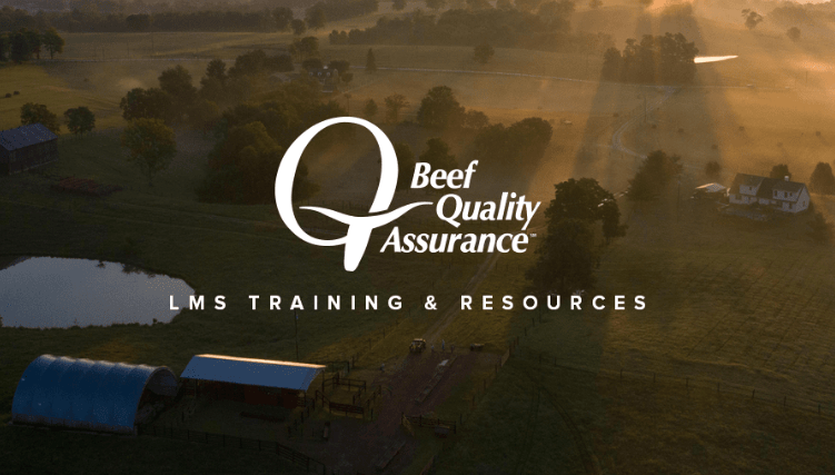 Beef Quality Assurance Certificate