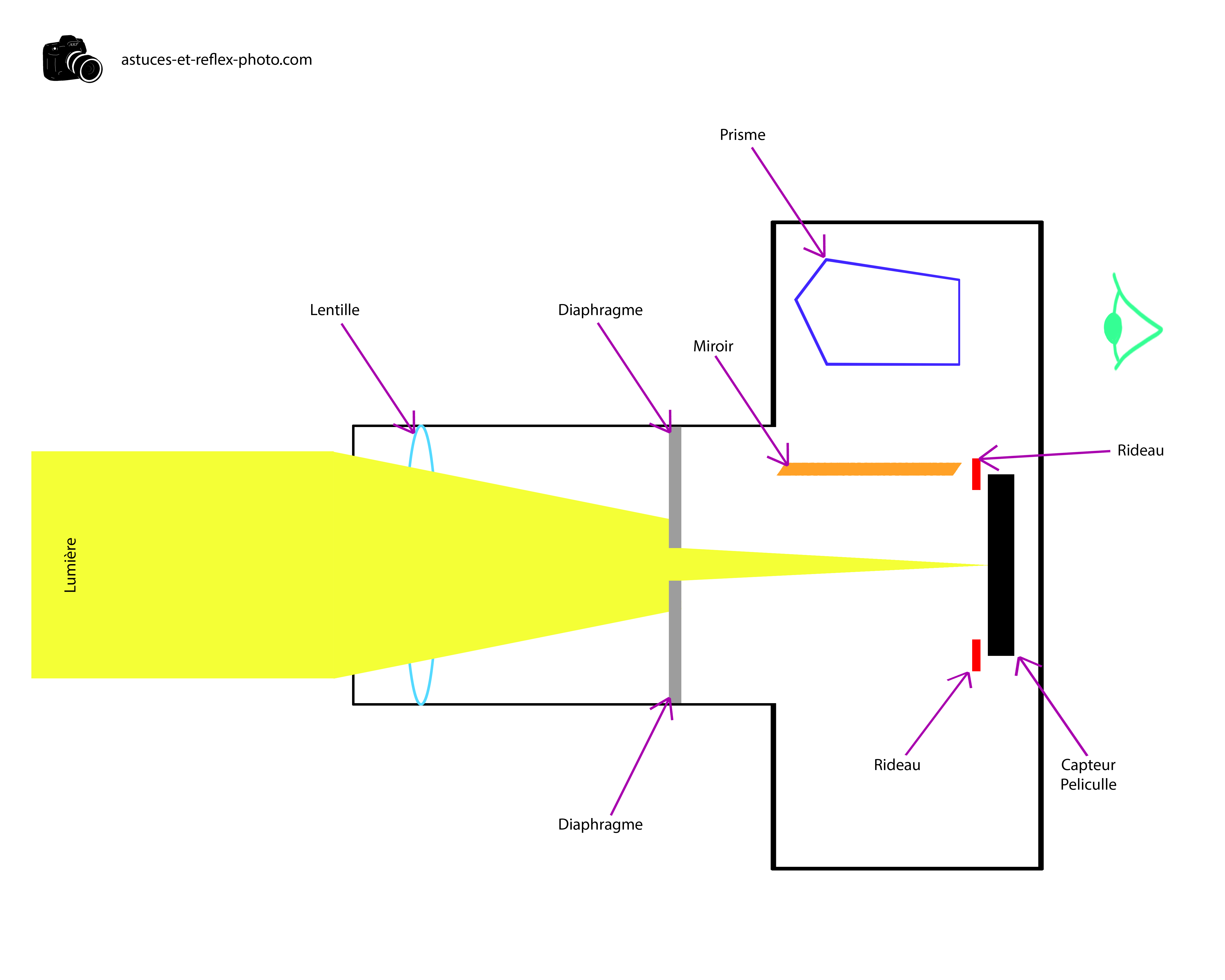 Schéma De Fonctionnement Dun Appareil Photo Numérique Reflex Astuces