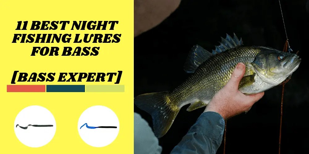 11 Best Night Fishing Lures For Bass Bass Expert Attractive Fishing