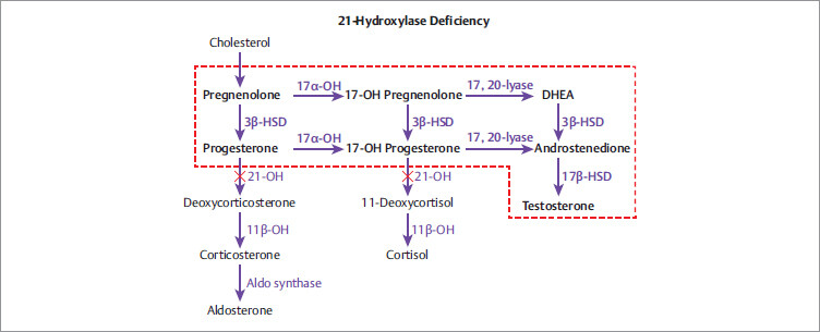 18 Disorders Of Sexual Development Basicmedical Key