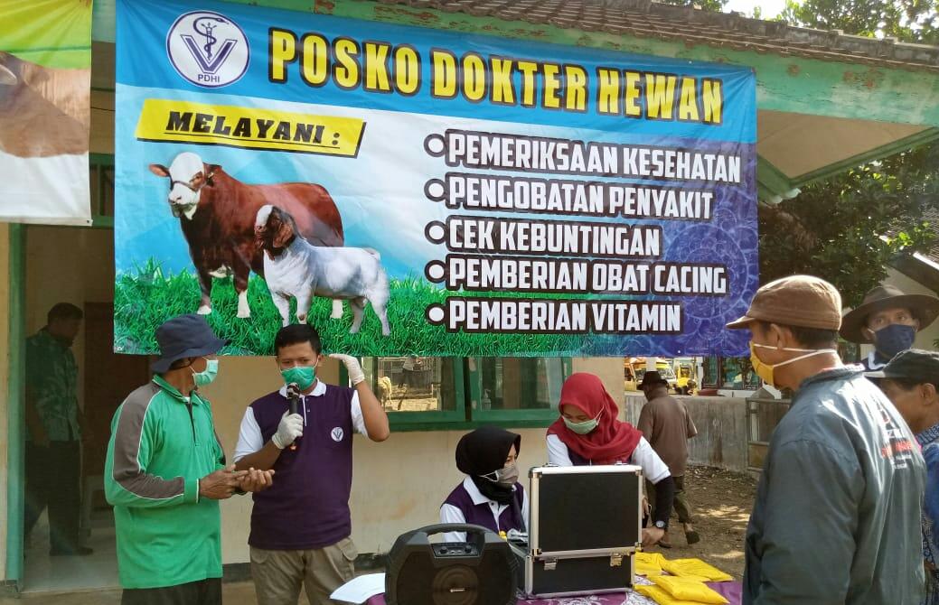 Perbedaan Klinik Hewan Dan Praktek Dokter Hewan Bersama At Praktek Dokter